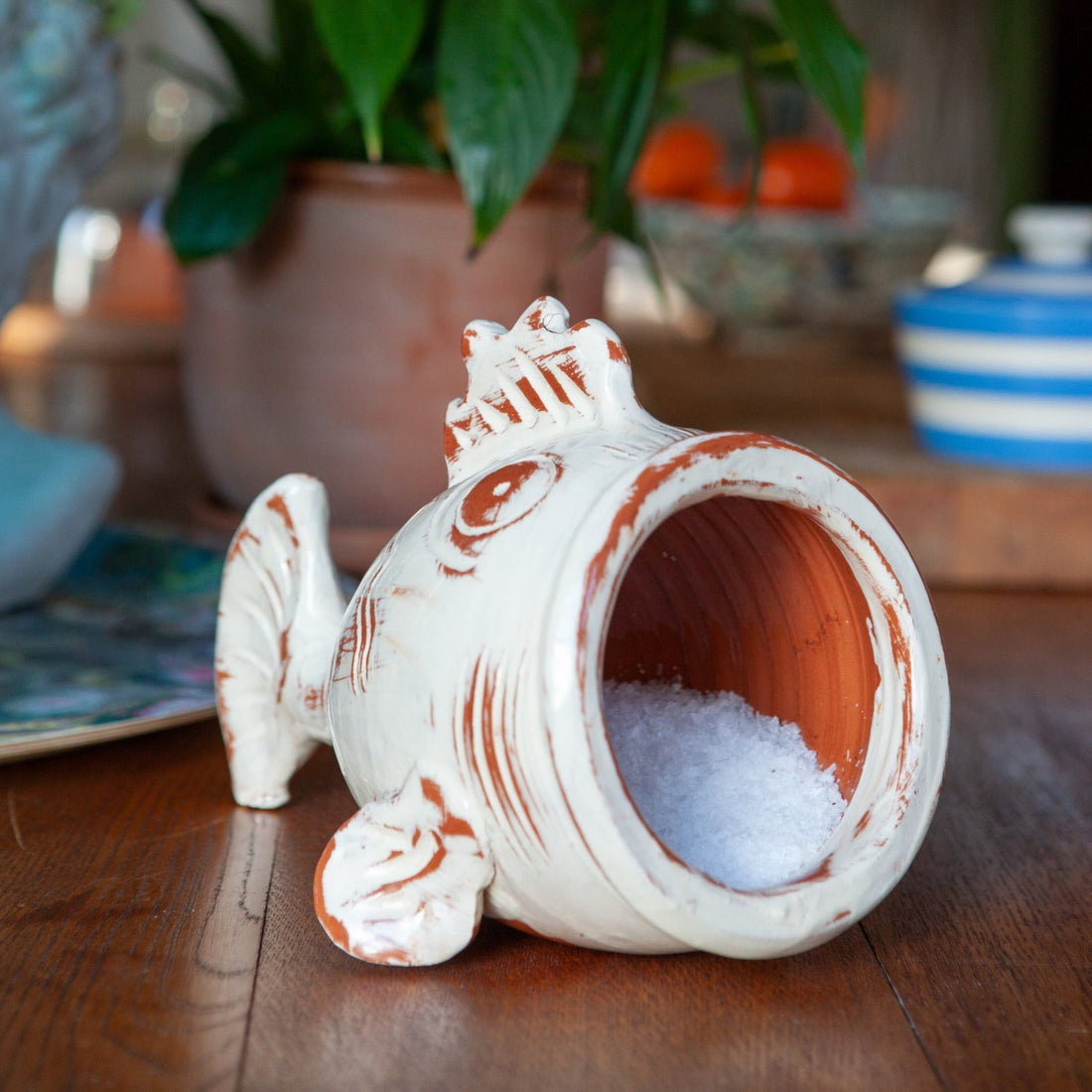 White Salt Fish | The House Upstairs